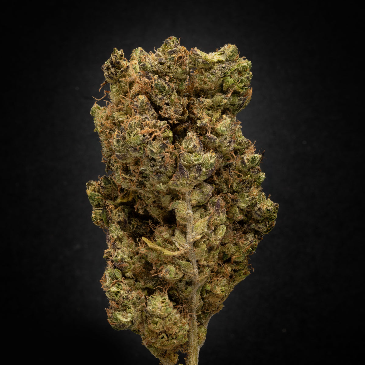 Lovlig Hash i Danmark - Premium Kvalitets Cannabis & CBD